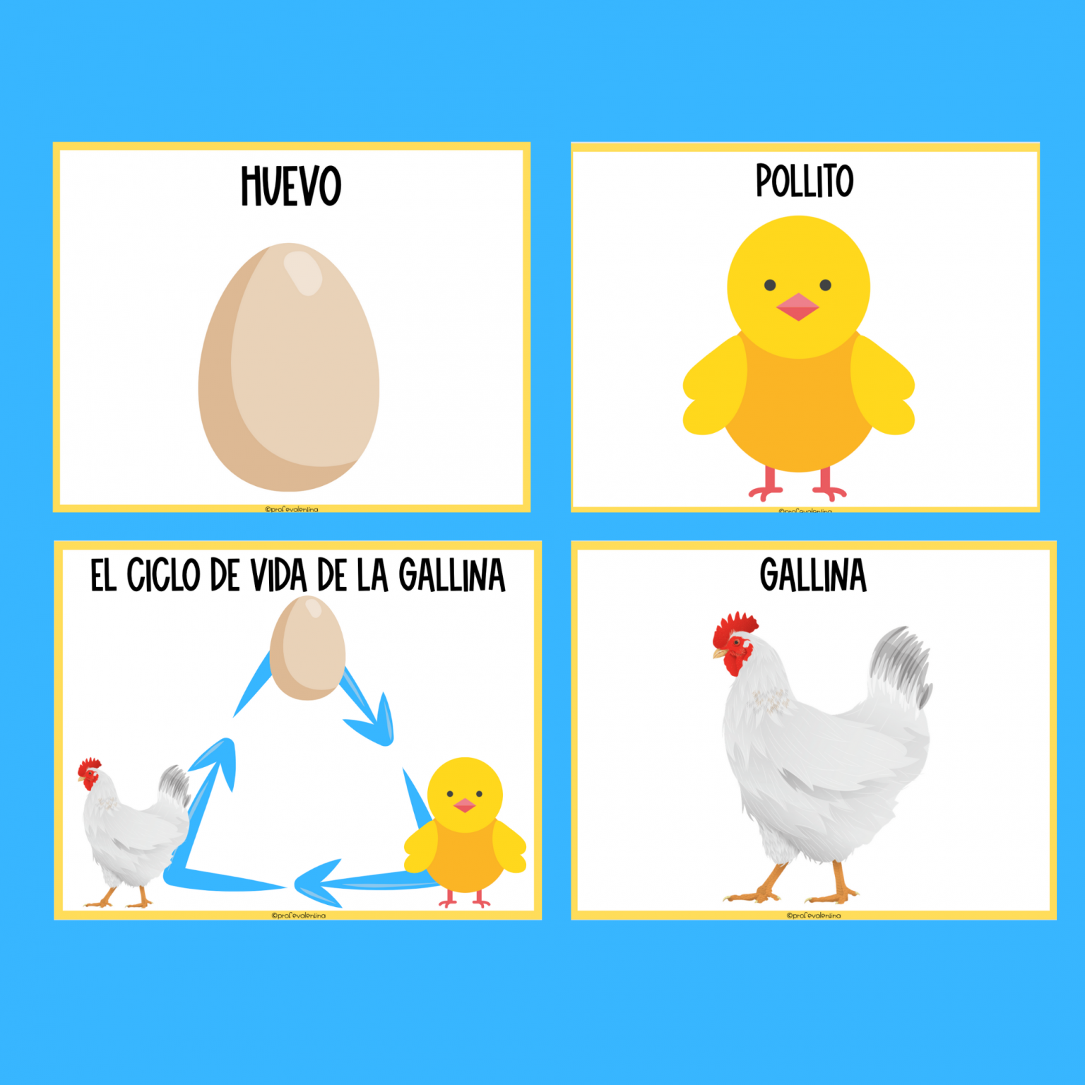 JUEGO DEL CICLO DE VIDA DE LA GALLINA - Profe Valentina